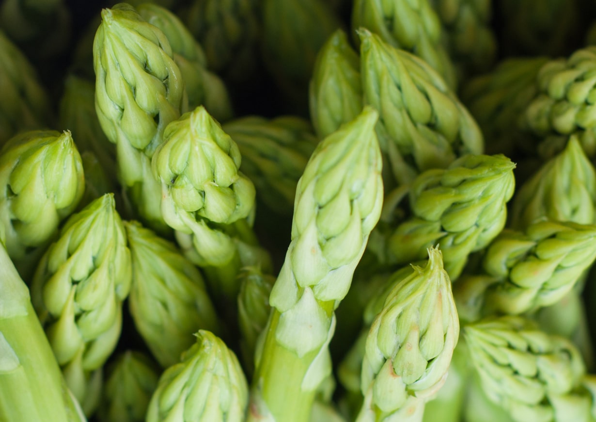 Rezepte zur Spargelzeit